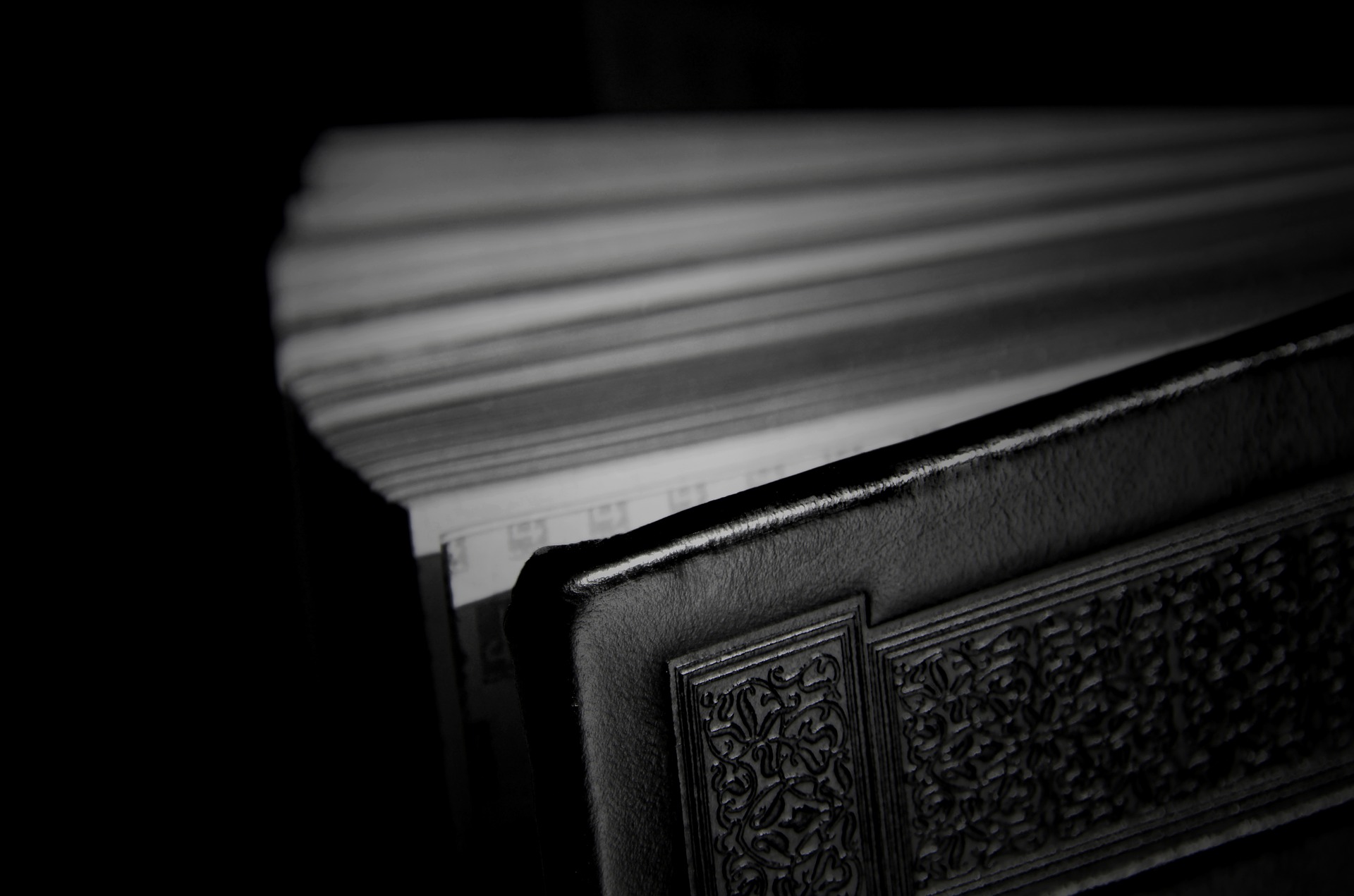 The Most Important Book You Could Ever Read